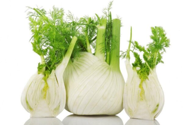 Fenicul: Informatii despre fenicul, beneficii si contraindicatii